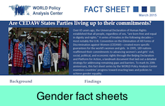 WORLD Policy Analysis Center